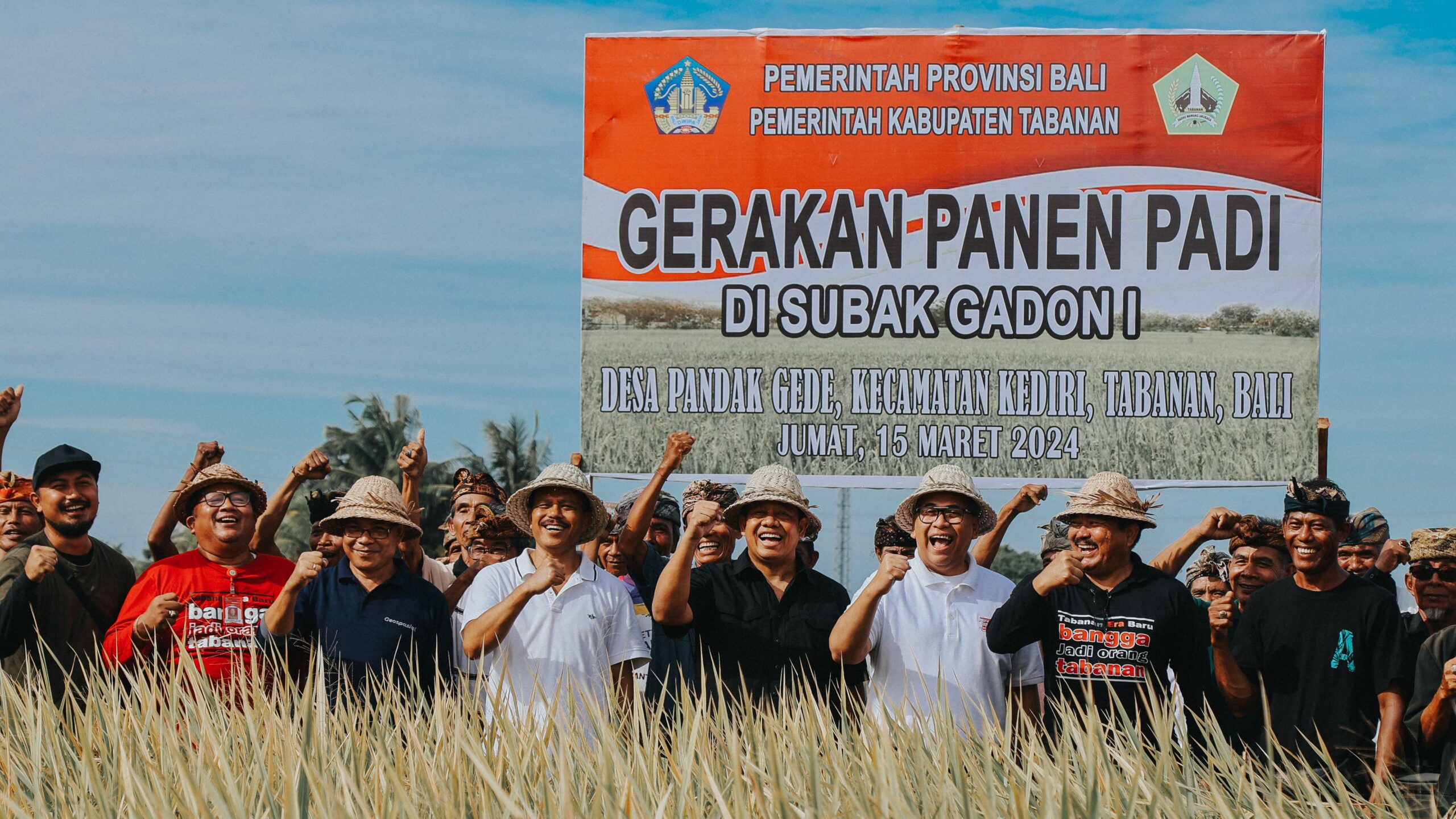 Solusi Cegah Stunting, Bali Panen Padi Inpari Nutri Zinc - Bali Politika